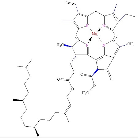 (a) Explain what you understand by the phrase "Co-ordination Complex ...