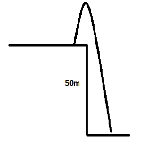 You stand at the top of a 50 m cliff and throw a rock up into the air ...