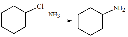 Outline the reaction for the conversion of cyclohexene to N ...