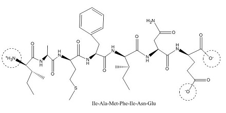 What is the charge of the following peptide at pH 7? Ile-Ala-Met-Phe ...