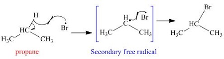 To explain how the rate of a reaction related to the stability of the ...