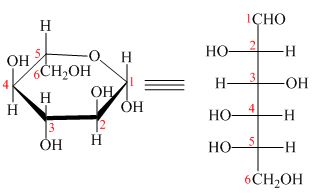 Convert each cyclic monosaccharide into its acyclic form. [{Image src ...