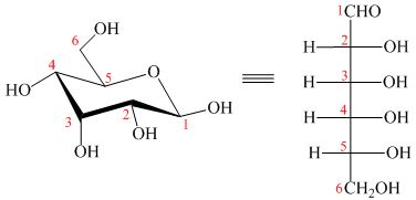 Convert each cyclic monosaccharide into its acyclic form. [{Image src ...