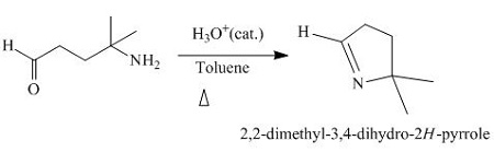 Draw the product of the reaction seen below. | Homework.Study.com