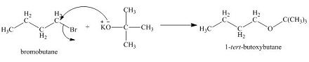 Draw the organic product formed when the compound shown below undergoes ...
