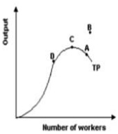 13. Total revenue minus explicit measurable costs equals: A) average ...