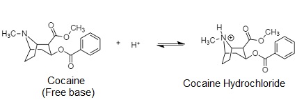 Given that the structures of cocaine (on the right side of the equation ...