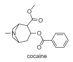 Benzoylecgonine is commonly used to screen for cocaine because it ...