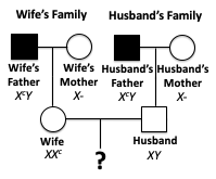Color-blindness is inherited as a recessive X-linked condition. A ...