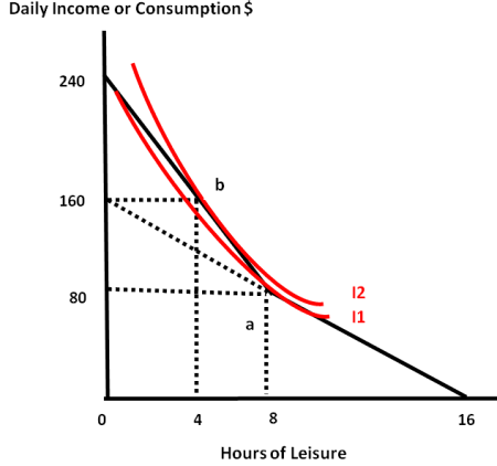 Labor Leisure Graph