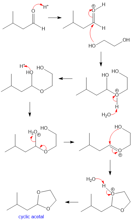 Predict the major product and give a complete mechanism. | Homework ...
