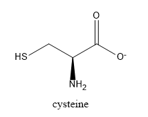 All of the following amino acids have a neutral side chain at pH=7 ...