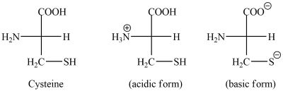 For all ionizable amino acid sidechains, draw the relevant portion of ...