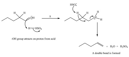 What is the major product of dehydration of an alcohol? | Homework ...