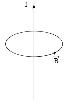 A long, vertical, straight wire carries a current going upwards. The ...