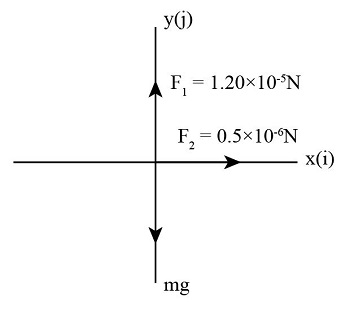 A flea jumps by exerting a force of 1.20\times 10^{-5}\ \mathrm{N ...