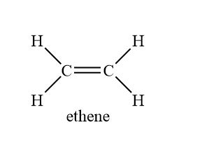 How to draw a c=c molecule? (carbon double bond carbon). | Homework ...