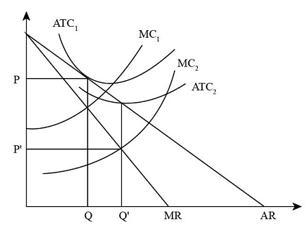 The government is considering subsidizing the marginal costs of a ...