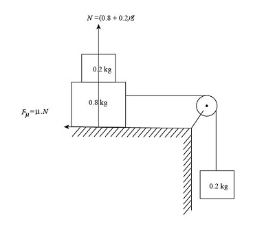 A block of mass 0.2 \ kg rests on top of a block of mass 0.8 \ kg. The ...