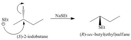 What products would you expect from the reaction between (S)-2 ...
