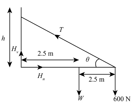 A uniform, horizontal flagpole 5.00 m long with a weight of 200 N is ...