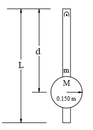The figure below shows the pendulum of a clock. The uniform rod of ...