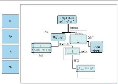 Complete the following flow diagram. [{Image src ...