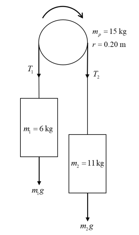 Two masses are connected by a string and hang from a fixed pulley. The ...