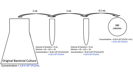 The count of bacteria in your original ml of your ON culture was 2.8x10 ...