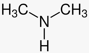 Write the Lewis structures of both isomers with the formula C_2H_7N ...
