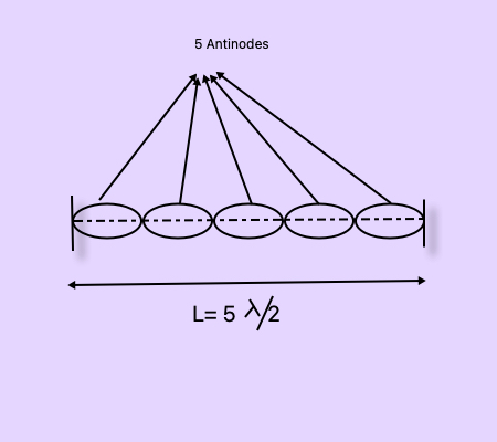 Two physics students have found a 3 m long slinky and can't help trying ...