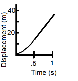 The figure below shows, a velocity time graph for a squirrel walking ...
