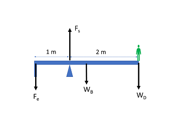 A diving board 3.00 m long is supported at a point 1.00 m from the end ...