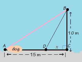 In the article Do Dogs Know Calculus?, the author Timothy Pennings ...