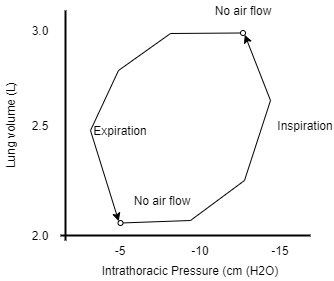 The pressure and volume changes that occur during a cycle of breathing ...