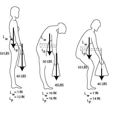 The figure below depicts three different scenarios for lifting a weight ...