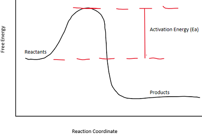 What is activation energy? | Homework.Study.com