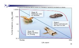 An elephant survivorship curve would look like which of the following ...