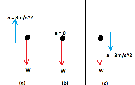 A person of mass 50kg rides an elevator whose motion consist of (a ...