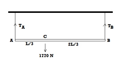 A 1770 N irregular beam is hanging horizontally by its ends from the ...