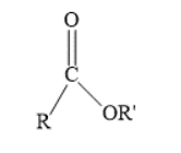 What is the meaning of the term "forerun"? This is about the synthesis ...