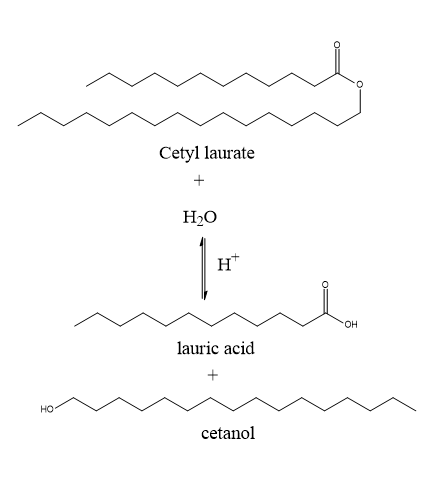 What hydrolysis products are formed when cetyl laurate is treated with ...