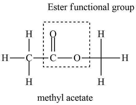 Identify all the functional groups in the following organic compound ...