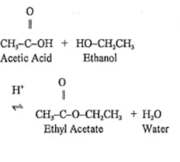 Write the equation for the formation of an ester from acetic acid ...