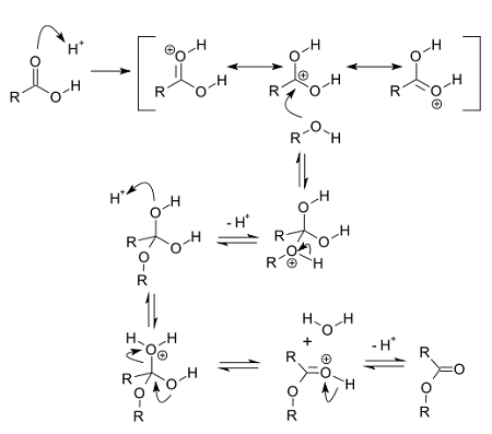 Draw structures of the reactants or products of the following Fischer ...
