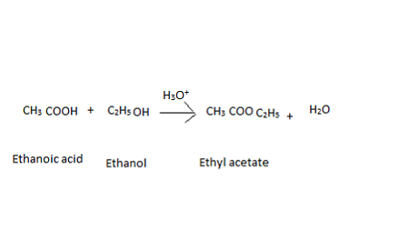 Write a Fischer esterification reaction | Homework.Study.com
