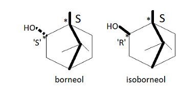 Assign R or S configurations to each stereogenic center of isoborneol ...