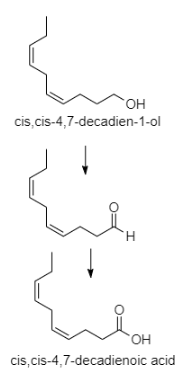 The Enzymatic Biosynthesis Of Fatty Acids May Involve Alcohols As