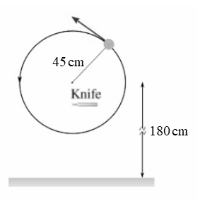 A 90 g ball on a 45 cm long string is swung in a vertical circle about ...