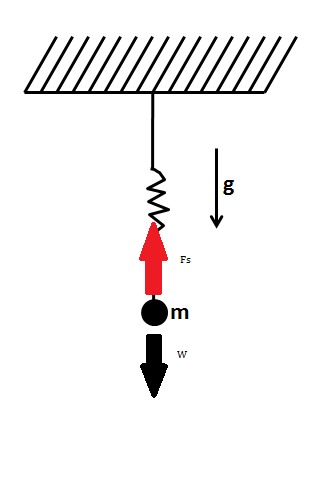Find the equations of motion for a mass m suspended vertically from a ...